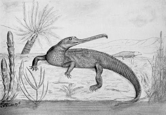 Hronoblog: 251-199.6 млн лет назад.Триасовый период.Жизнь1.