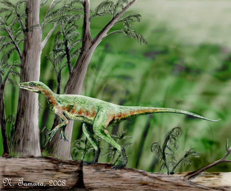 Hronoblog: 251-199.6 млн лет назад.Триасовый период.Жизнь 4.