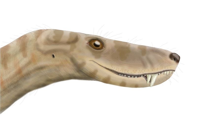 Hronoblog: 251-199.6 млн лет назад.Триасовый период.Жизнь 9.