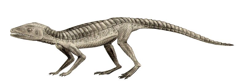 Hronoblog: 199,6-145,5 млн лет назад. Юрский период. Зоопарк 6.