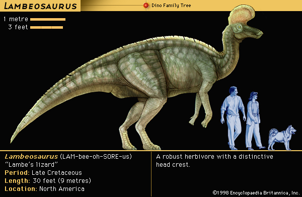 Hronoblog: 145,5-65,5 млн лет назад.Меловый период.Жизнь 6.
