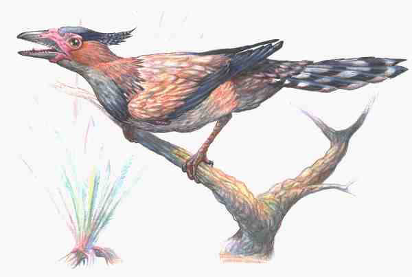 Hronoblog: 145,5-65,5 млн лет назад.Меловый период.Жизнь 10.