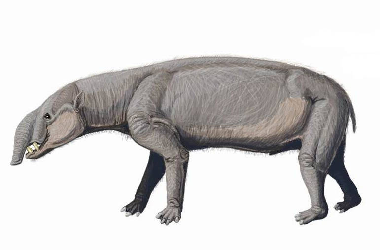 Hronoblog: 65,5-55,8 млн лет назад.Палеоцен.Жизнь1.