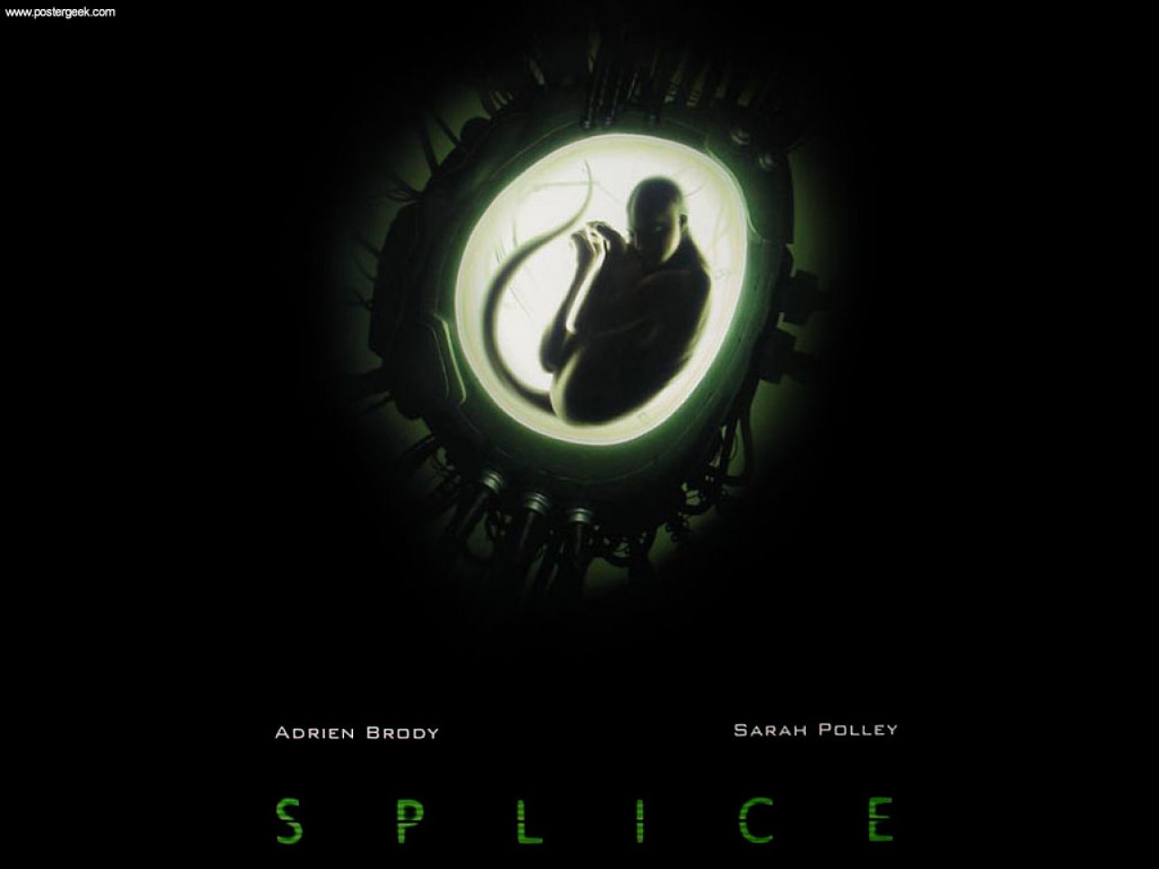 sinopsis splice | sinopsis box office