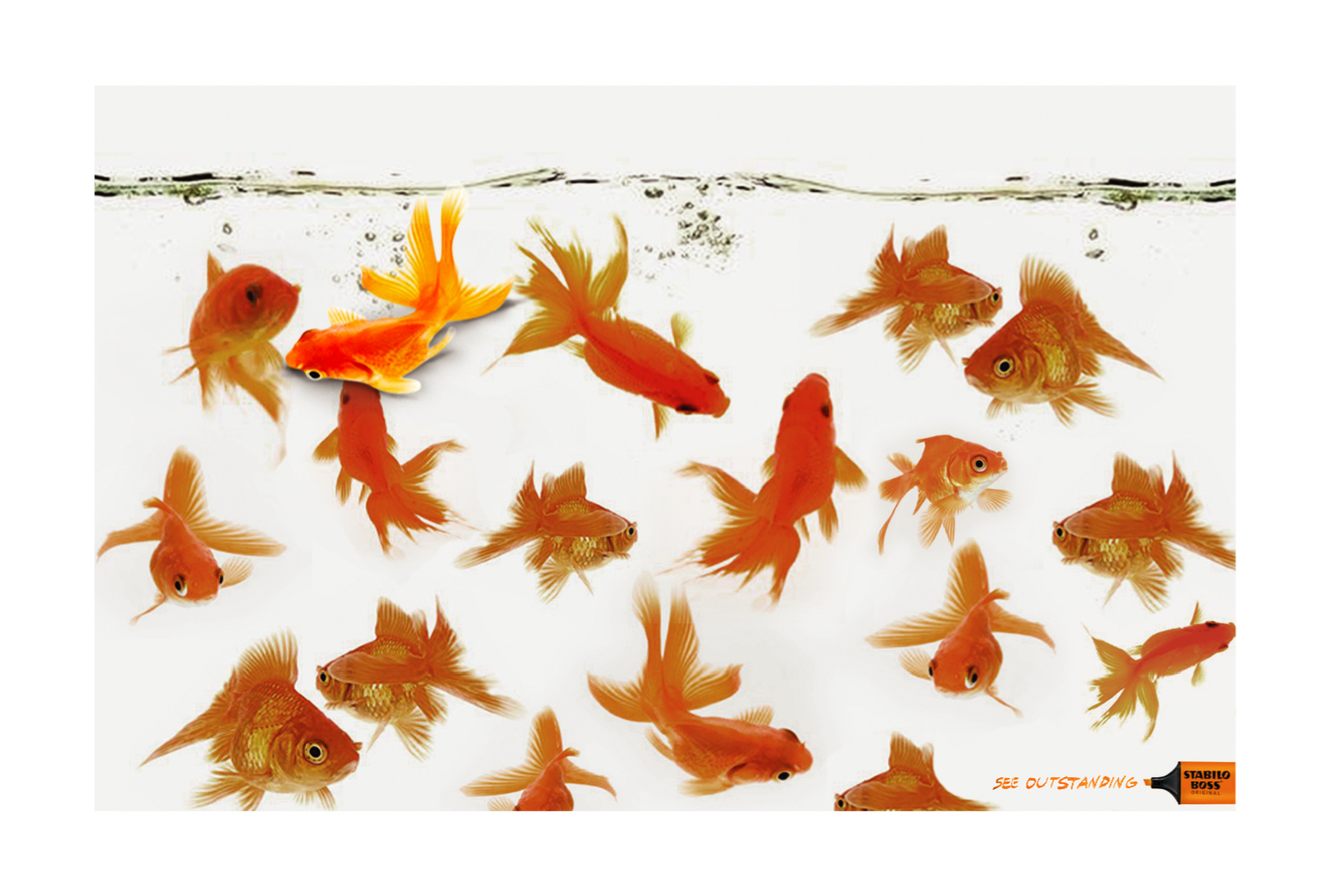 Tonndirector: Highlight Pen : Golden fish