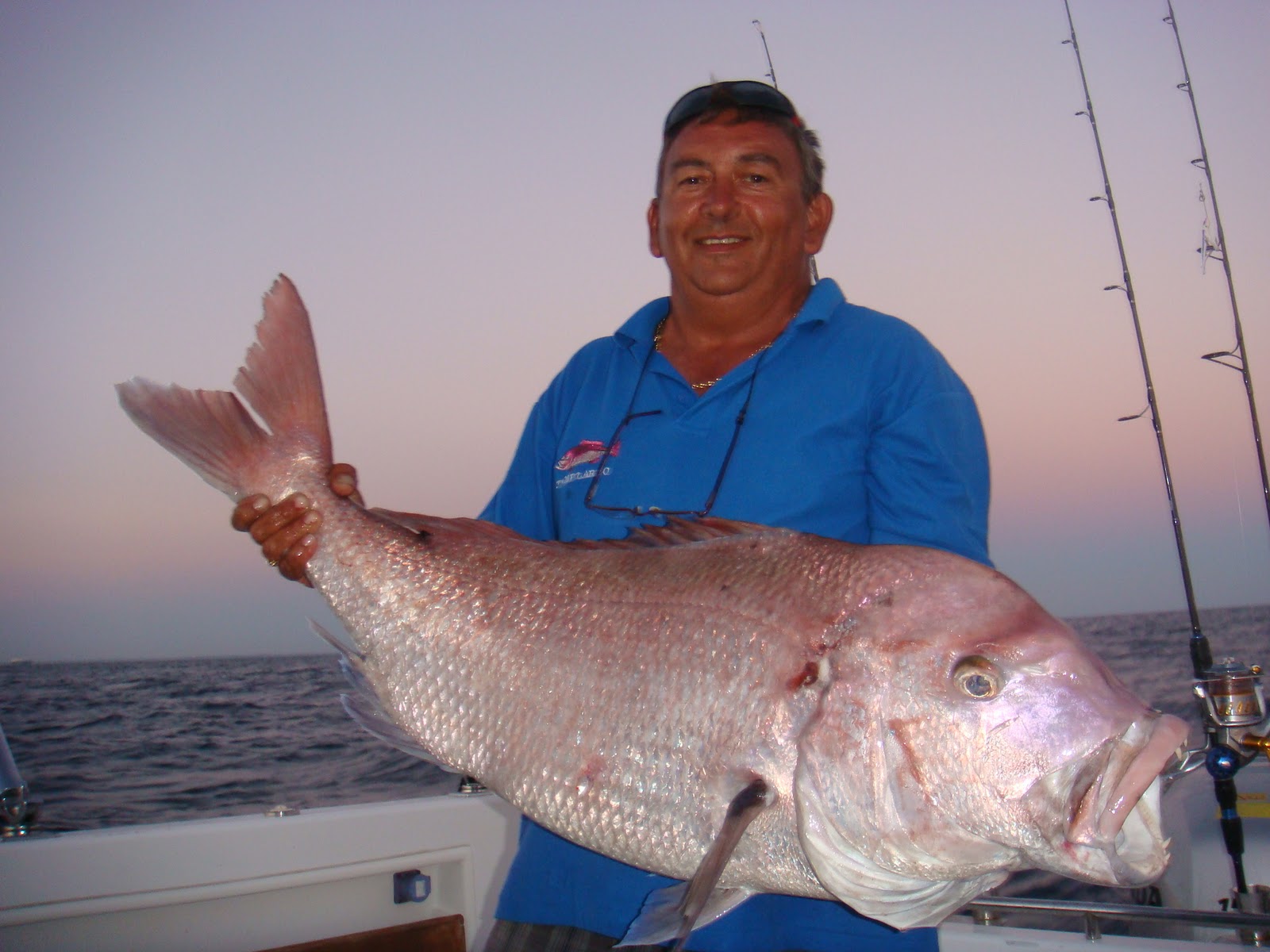 PESCA CINTINA: Rosa, grande y peleón, pargo