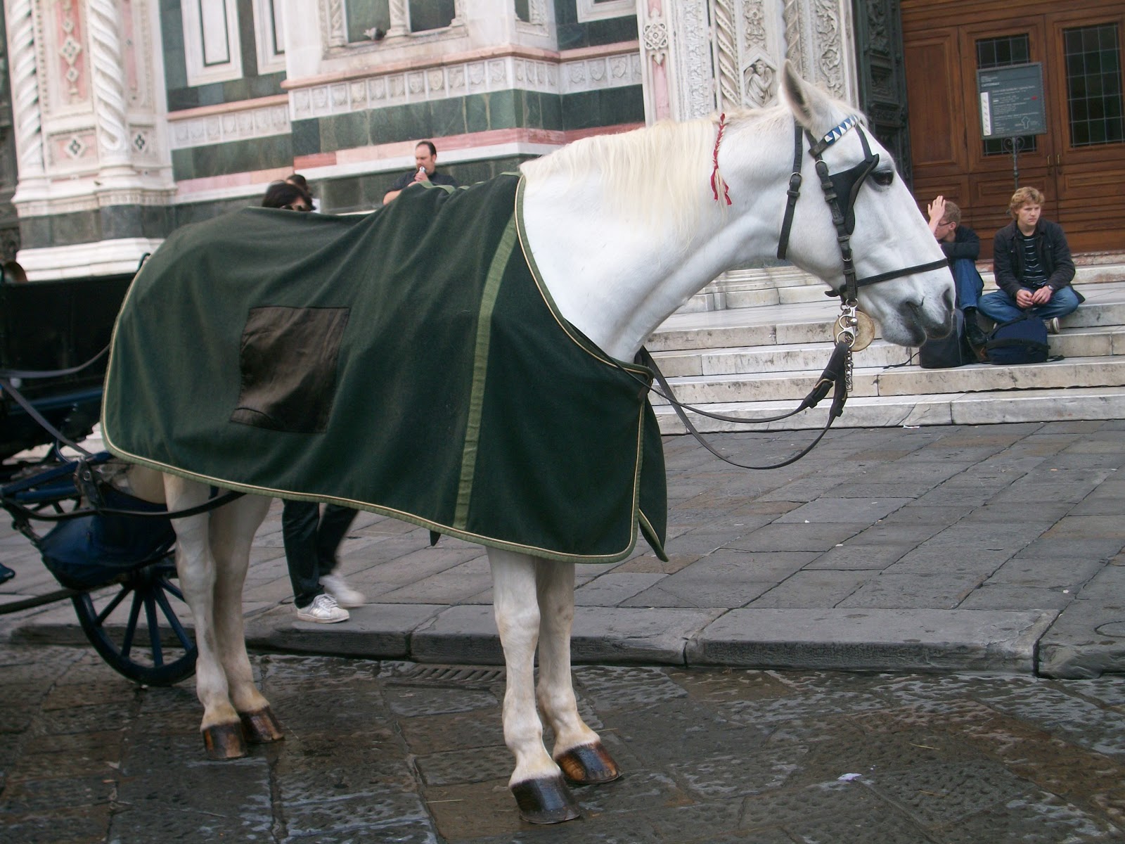 Hi, it's me, Bridget!: Firenze: Not just the name of a centaur in Harry ...