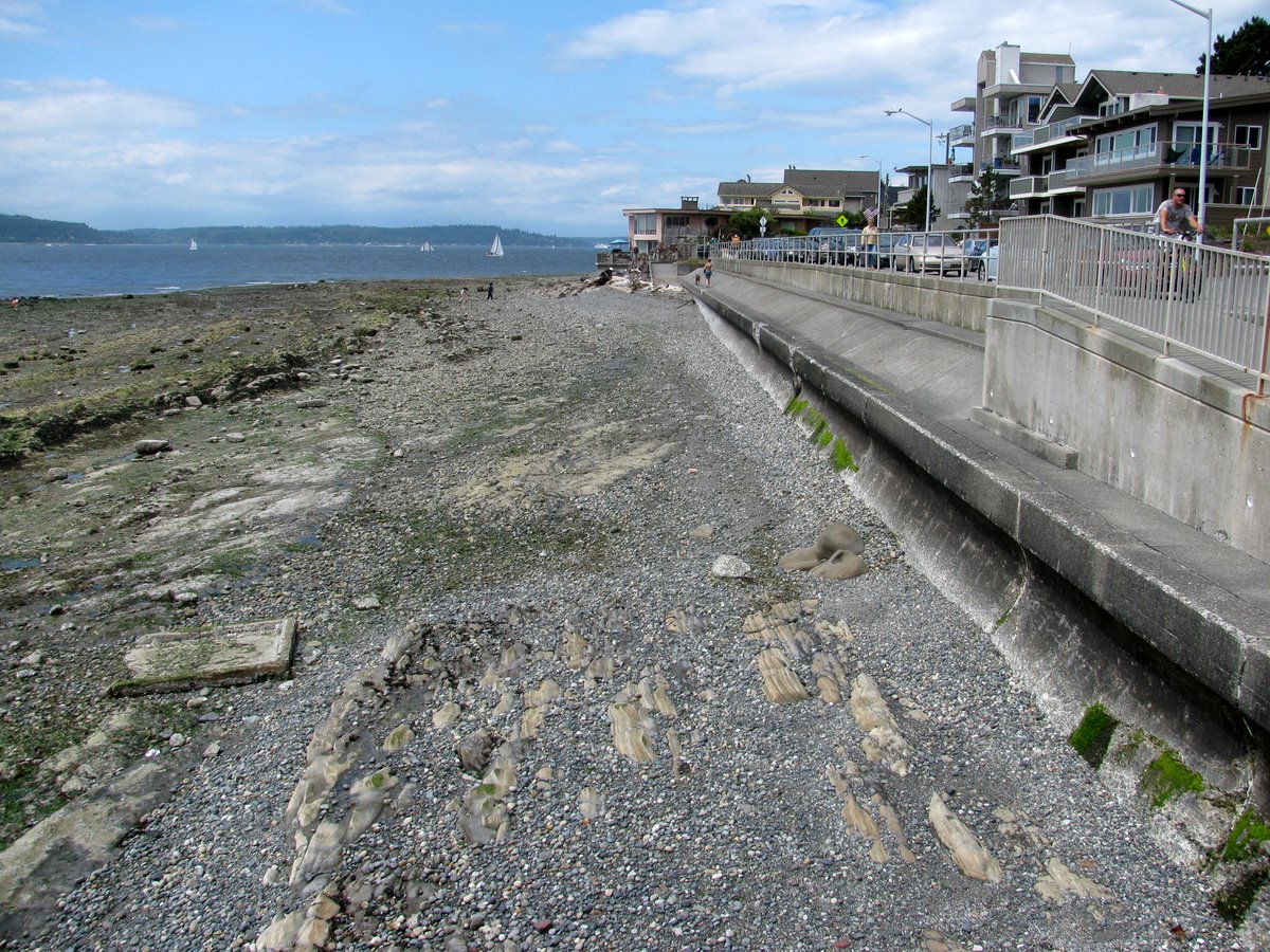 Gravel Beach: Alki Point