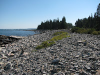 Gravel Beach: Seawall Beach