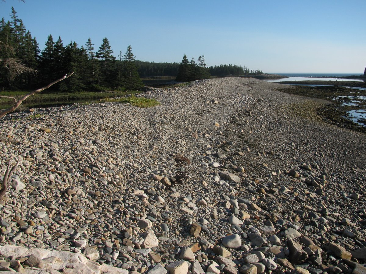 Gravel Beach: Schoodic Peninsula