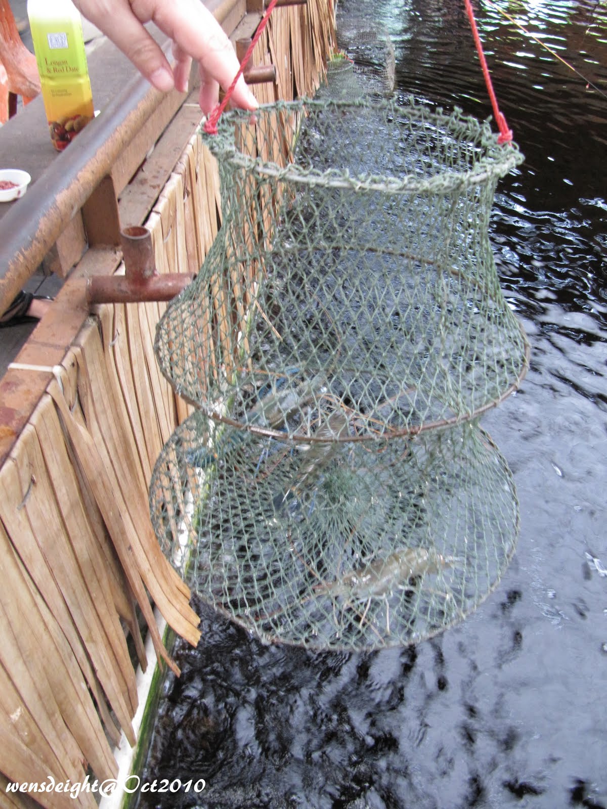 Wen's Delight: Prawn Fishing @ Hai Bin