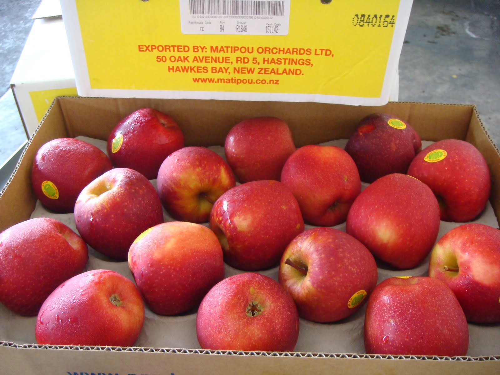 TCG & Sons Fruit Company: *HIGHLIGHTS* NZ Queen Apple
