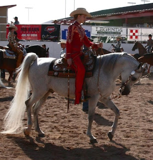Shekinah Clay Raku and More: Western Pleasure Class-Scottsdale Arabian ...