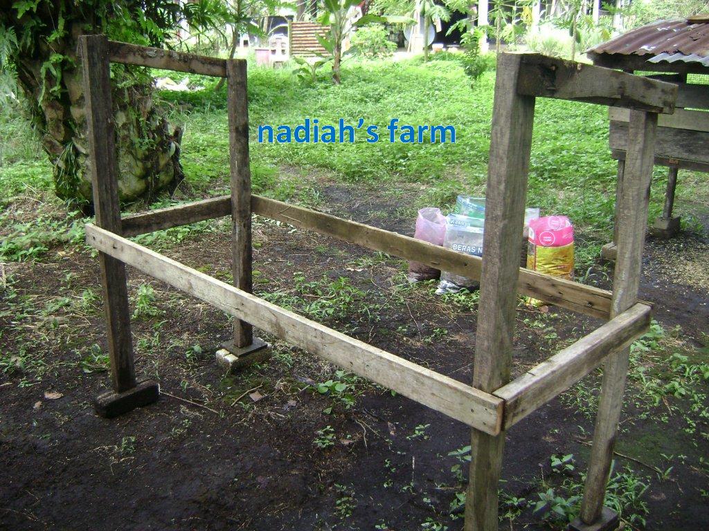 Nadiahs Little Farm: pembinaan reban arnab...