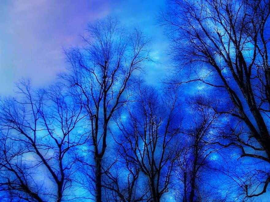 Imagine A World Of Blue 9 Pics Creative Photography imagine-a-world-of-blue-9-pics-creative-photography