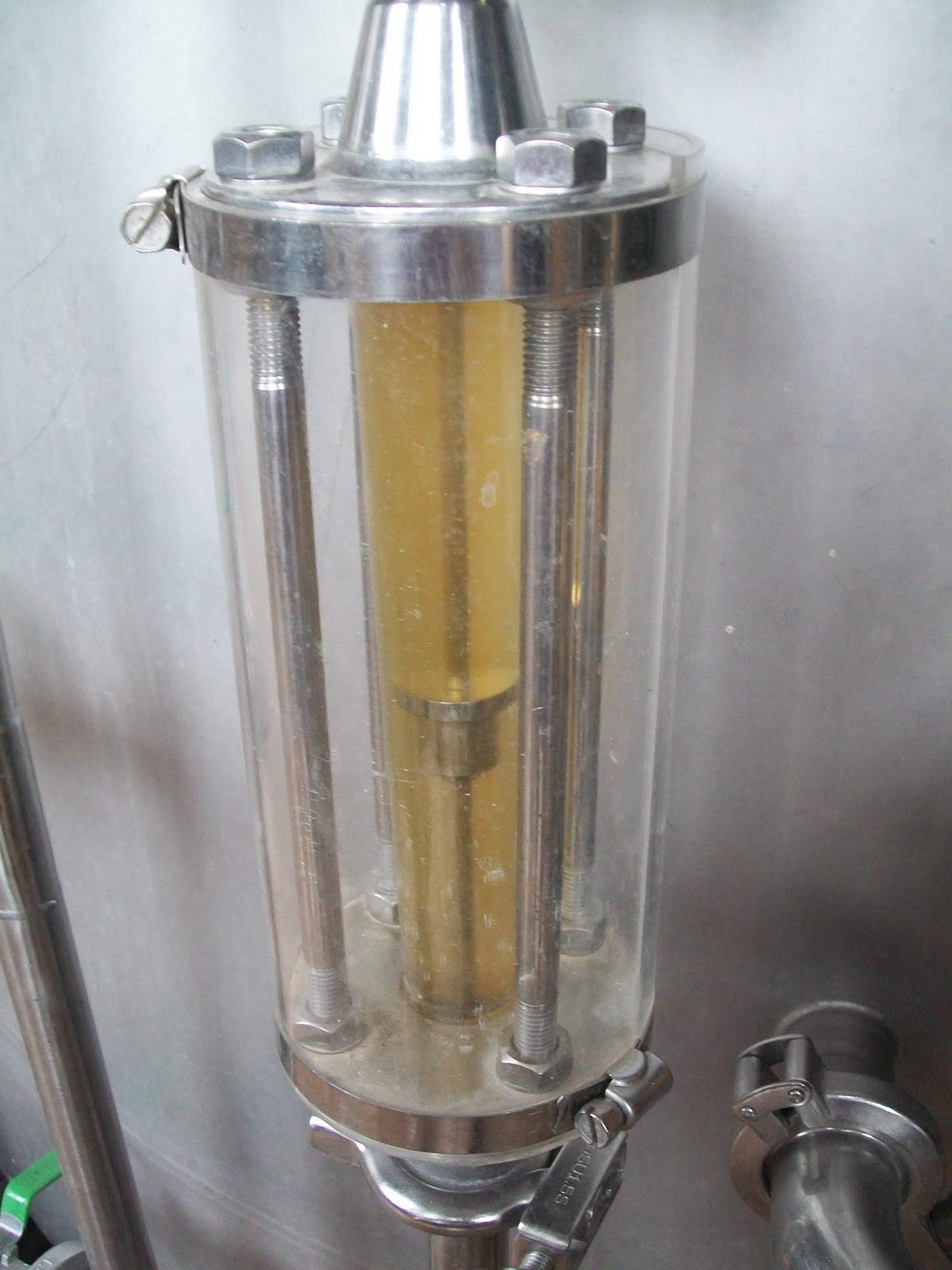 Fuggled: Back to Bohemia