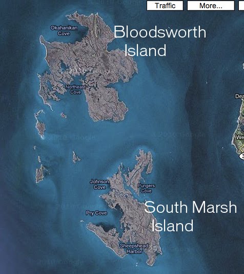 The Log of Spartina: islands and rivers