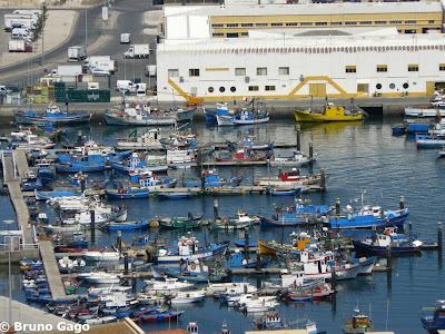 Fotos de Portugal: lota de setubal