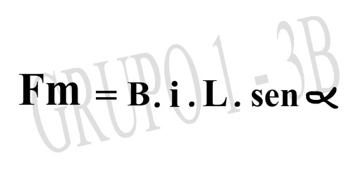 Meus Resumos - Magnetismo - Força Magnética em fios condutores