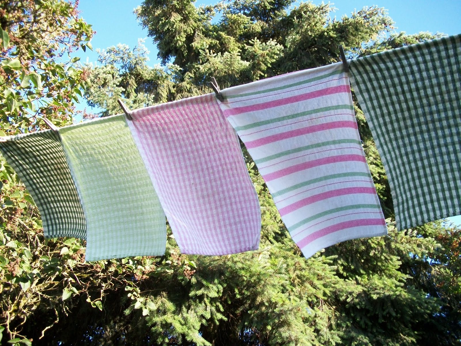 Home Living: Clothes in Wind