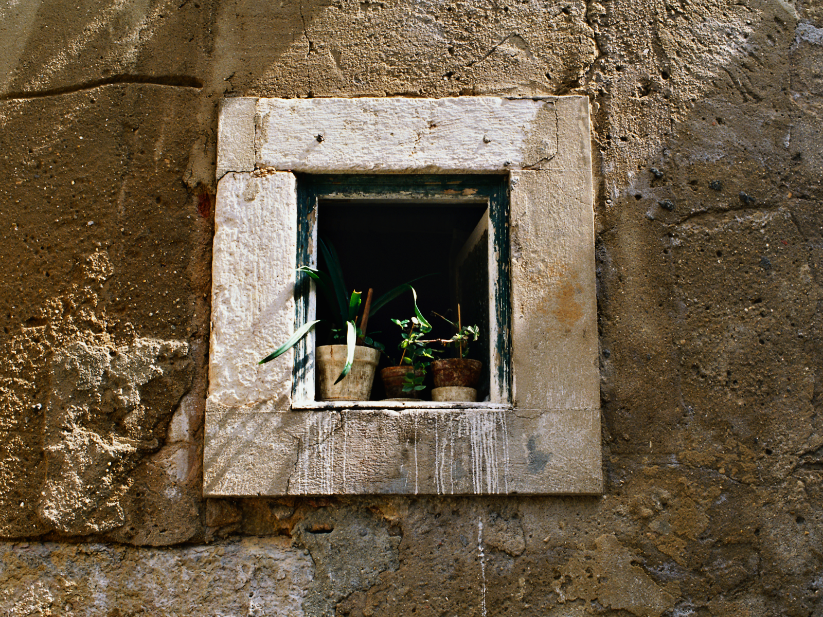 June | 2010 | inkbluesky