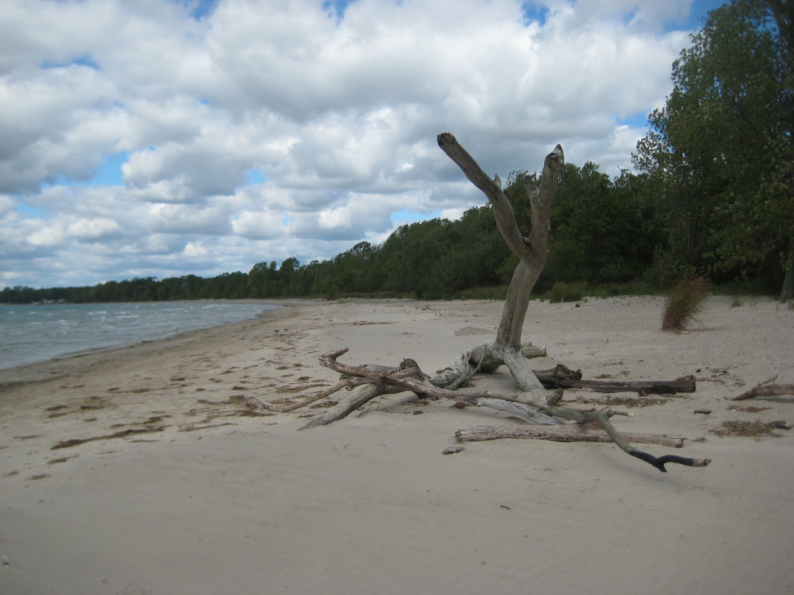 The Neat Little Bookshop: James N. Allan Provincial Park ~ Myrnam Beach