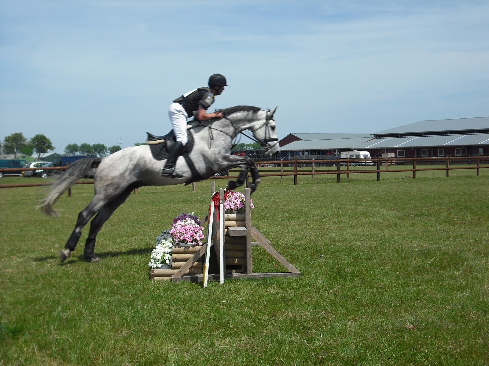 Stal Lozeman: Crossen in Noord Holland