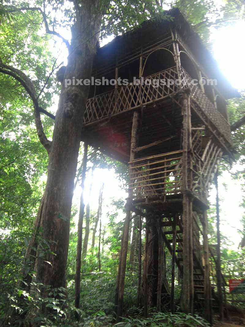 Forest Tree House @ Thenmala Eco Tourism Deer Park / Kerala / India ...
