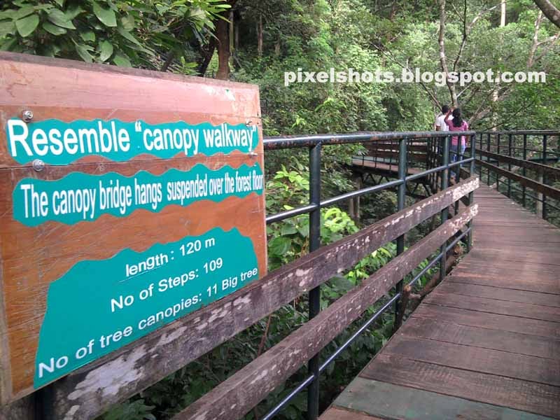 Thenmala Adventure Zone Activities Photos and Details - Kerala Eco ...