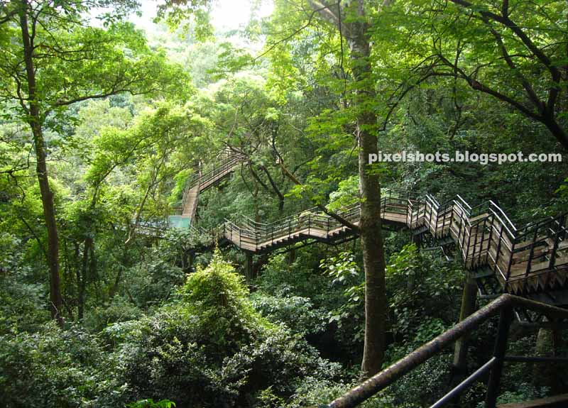 Thenmala Adventure Zone Activities Photos and Details - Kerala Eco ...