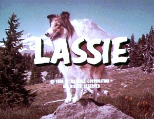 η ιστορία της τηλεόρασης: Η Λάση (Lassie)