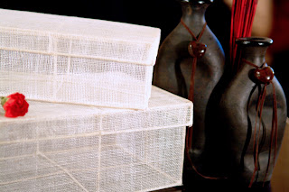 ECO-FRIENDLY PACKAGING and OTHER PRODUCTS: February 2010