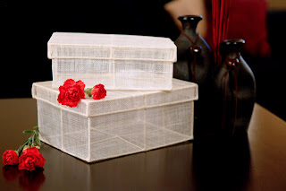 ECO-FRIENDLY PACKAGING and OTHER PRODUCTS: February 2010