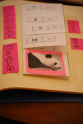 Over the Moon with Joy: Homeschool Lapbook- unit study (Giant Panda/China)