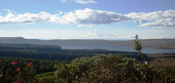 MUNICIPIO DE SAMACA: JUNTOS EN SAMACA.