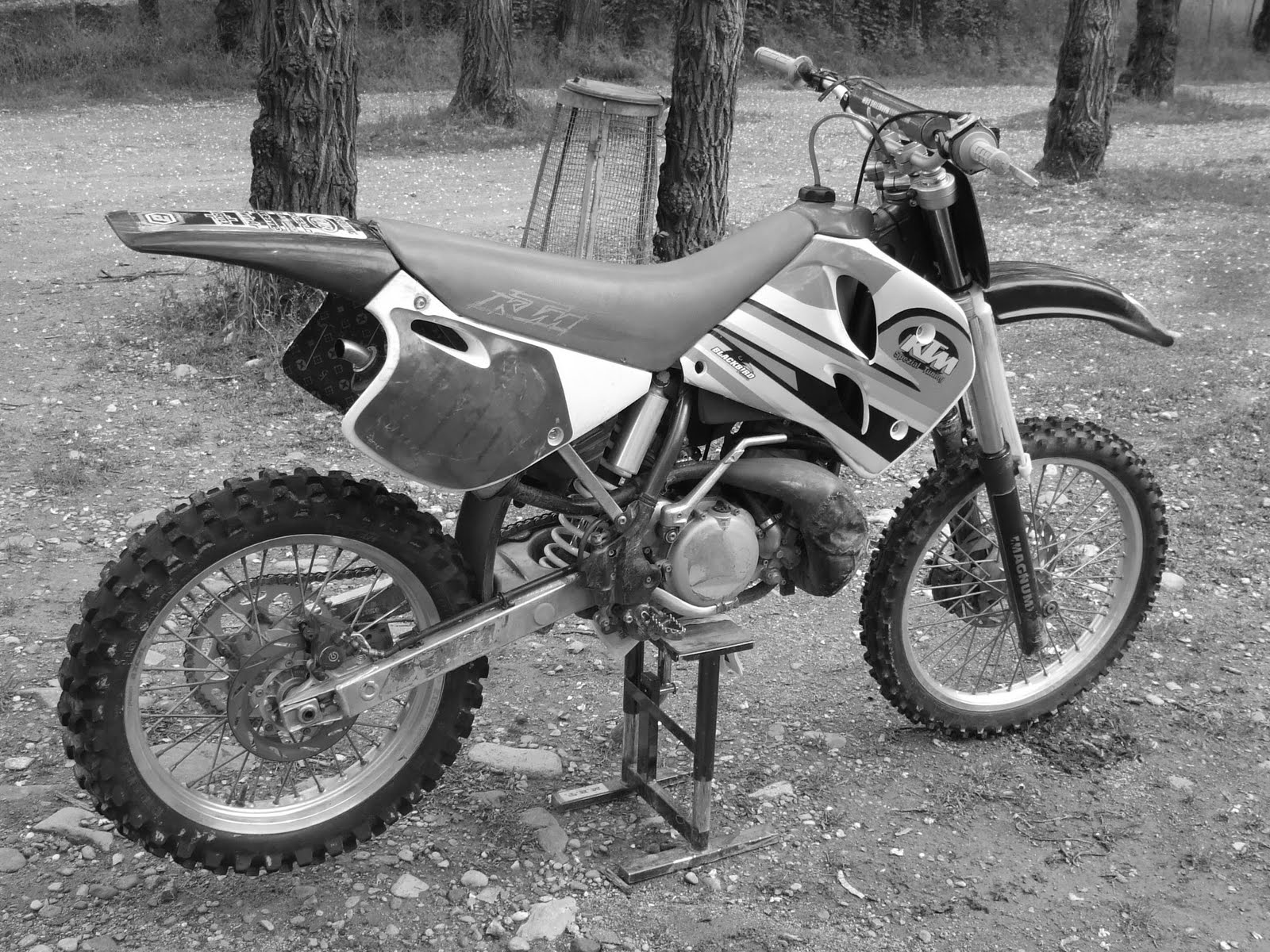 Lord of the Golden Baboon: Back On Track: KTM 250 SX (1996)