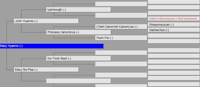 Miller Bechtold Families: Mary Hyanno (Little Dove) of the Wampanoag ...