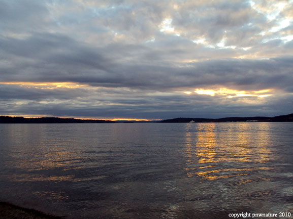 Saltar's Point Beach (Gordon Point)