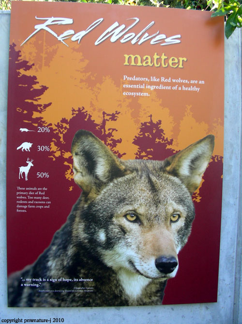 Red Wolf Woods at Point Defiance Zoo