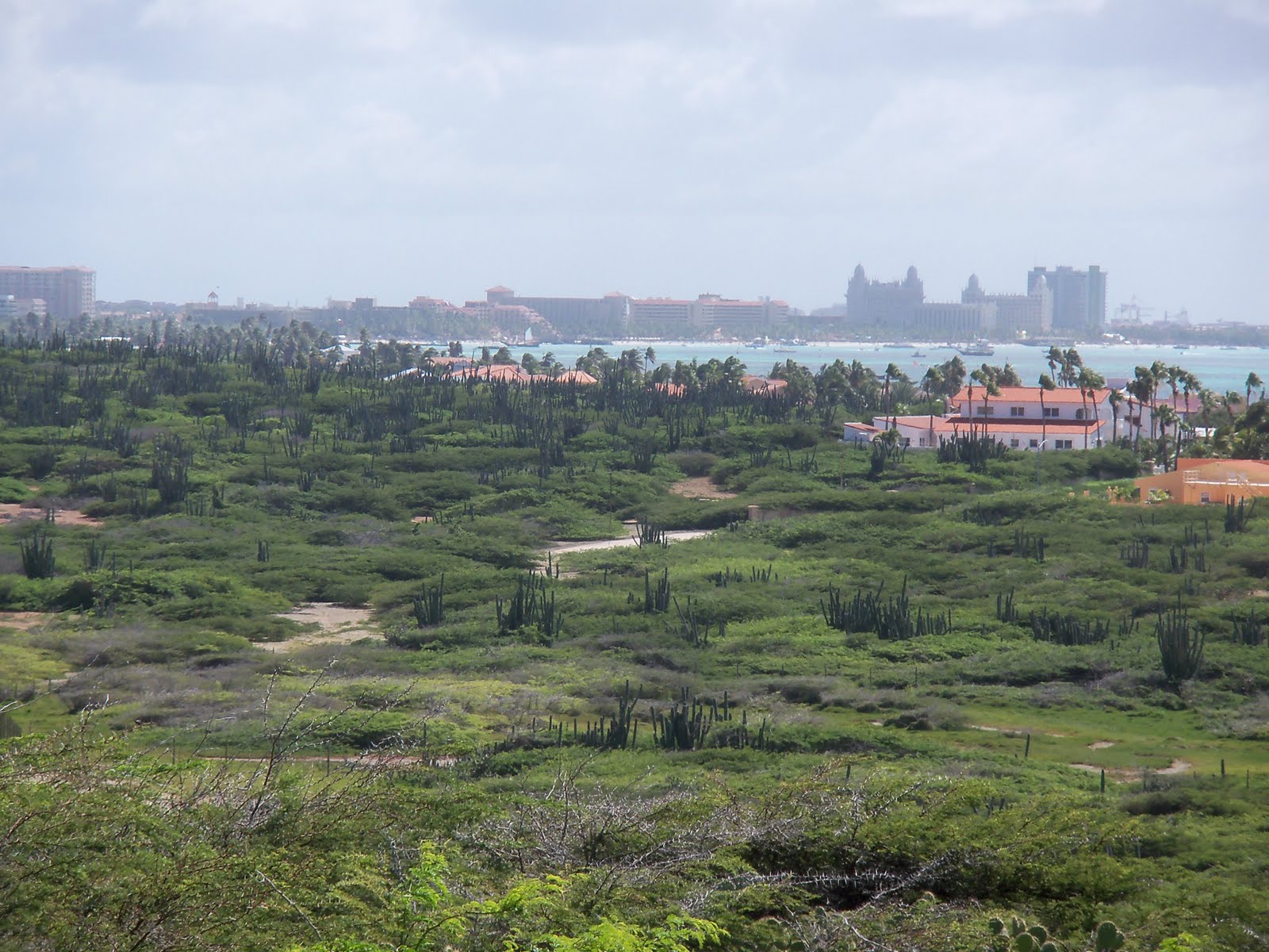 Tom's Thoughts and Travels: Aruba