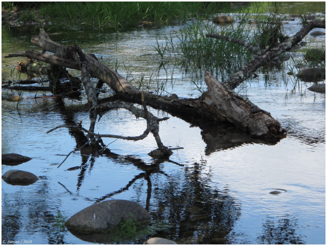 Photos all over the World - Fotos do Mundo: Leito do Rio