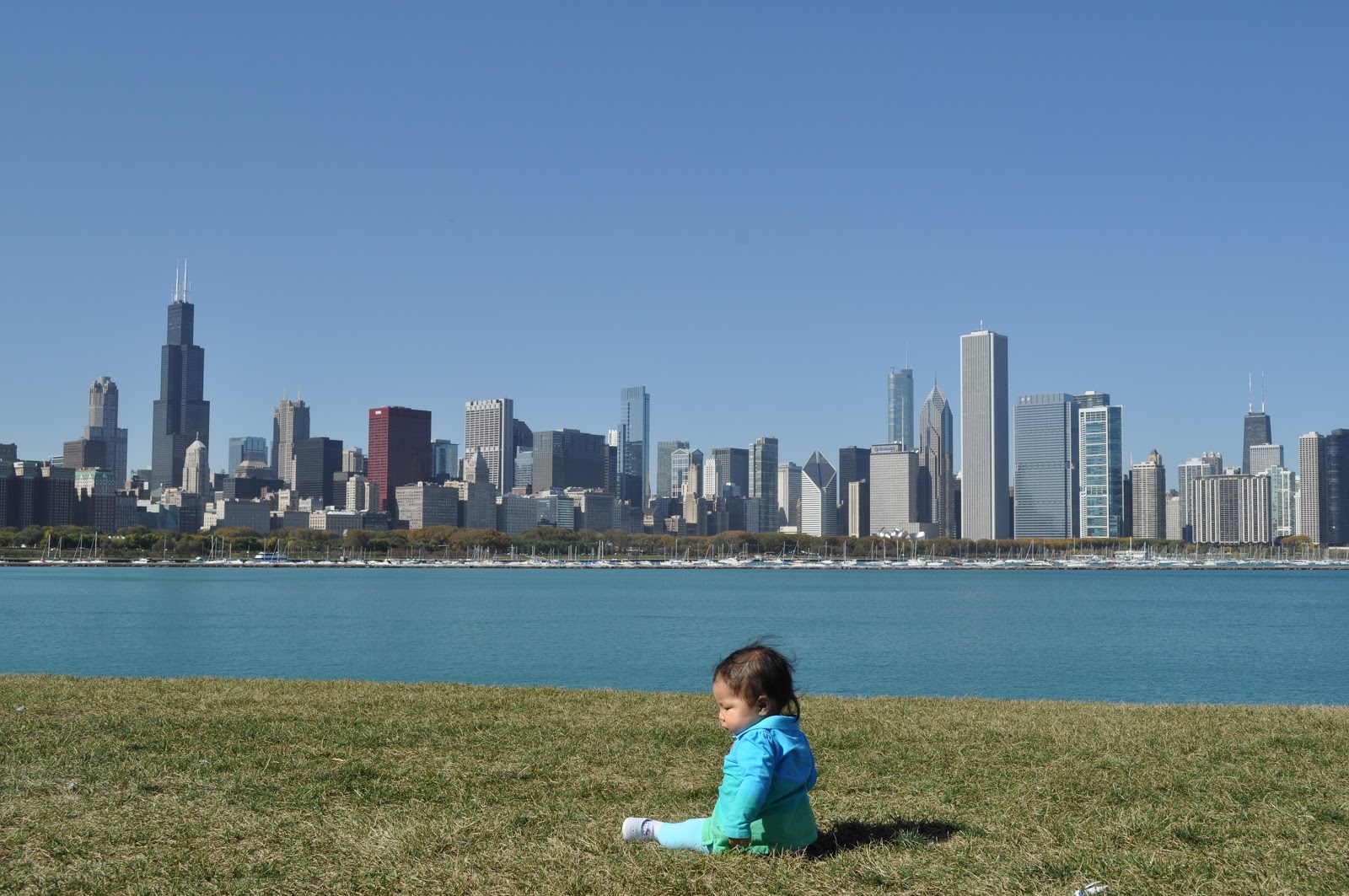 a {day} with lil mama stuart: Good Night Chicago - Museum Campus