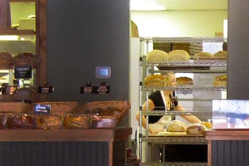 Side Trips: 11/28/10 - 12/5/10