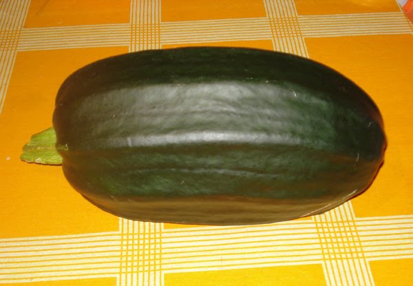 Mi Pequeña Huerta: Zapallos 2010