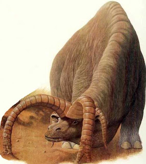 Bichos diversos: Gigantílope