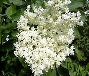 Selbstversorgung leicht gemacht