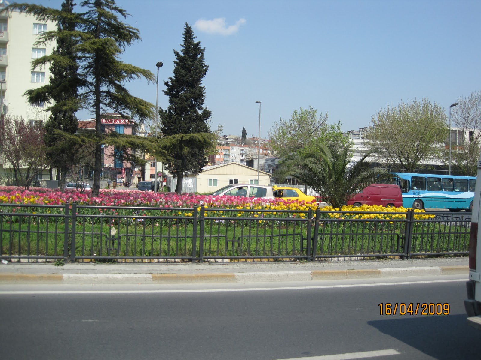 Tropical Landscape: Tulips is actually a national flower of Turkey ...