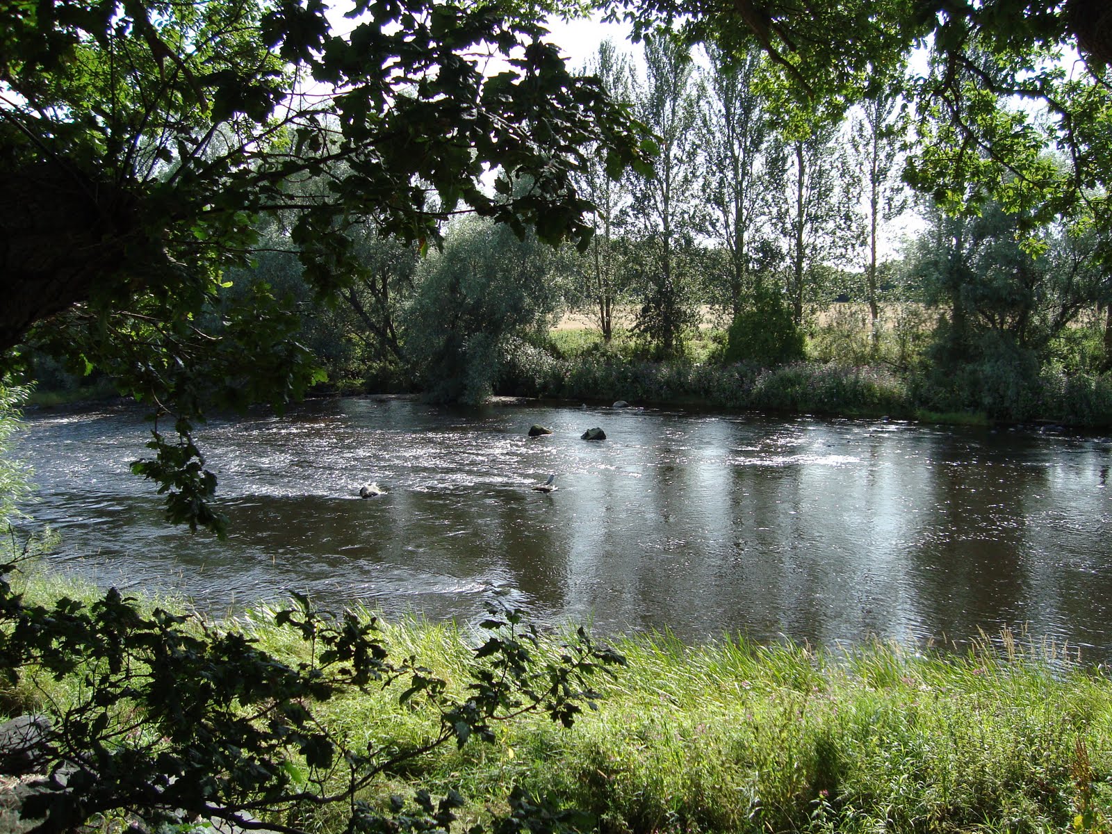 Tour Scottish Borders: The River Teviot