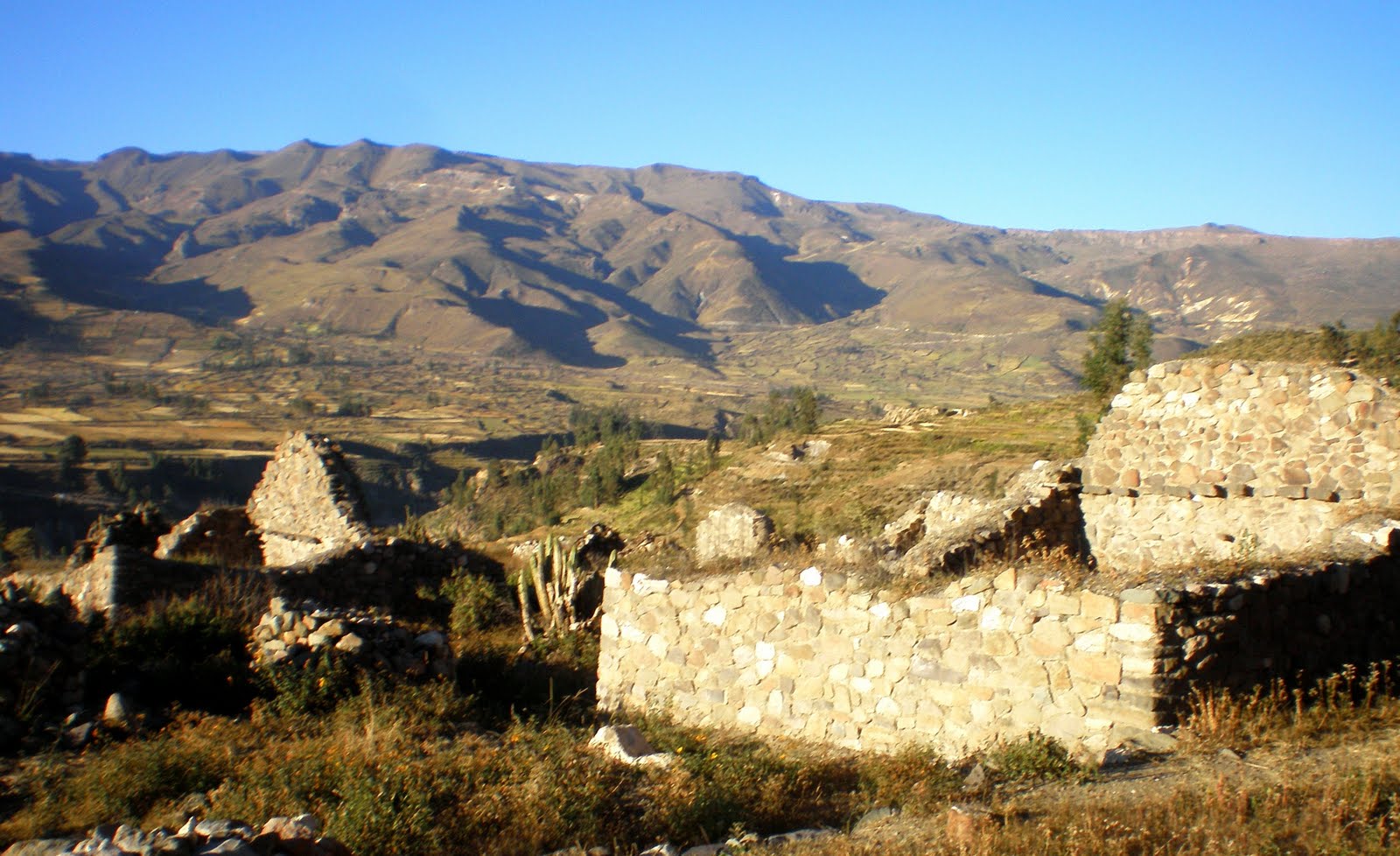 MIS FOTOS FAVORITAS: CONOCIENDO UYU UYU