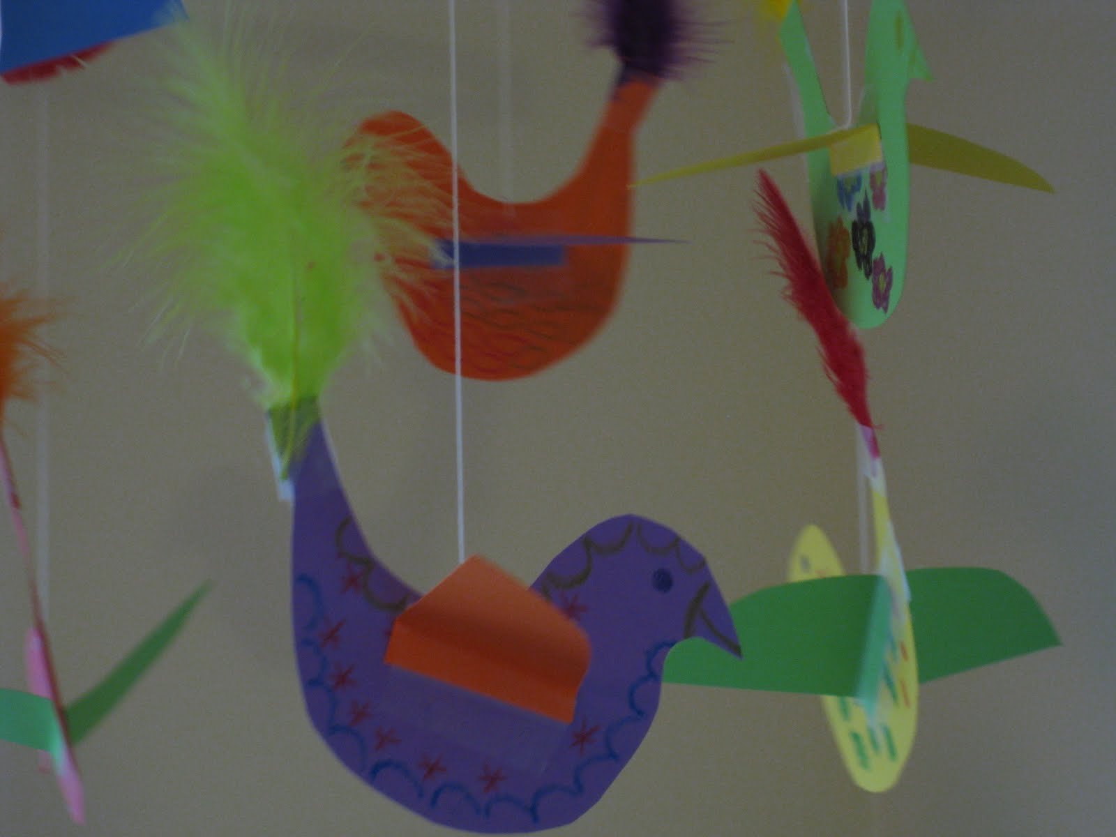 we bloom here: A Rainbow of Birds